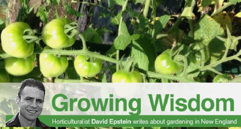 Apr 7 | AGC and MHL Present Popular Meteorologist and Horticulturist ...