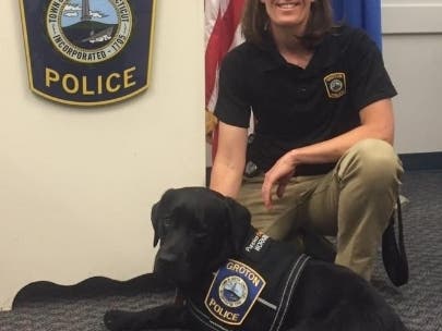 Meet 'McDonald,' Groton Police Department's Newest Member | Groton, CT ...