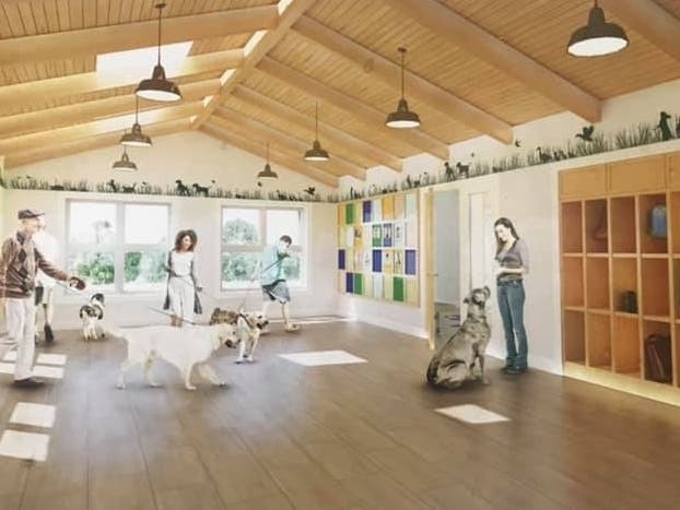 Construction To Start In June On New Dan Cosgrove Animal Shelter ...