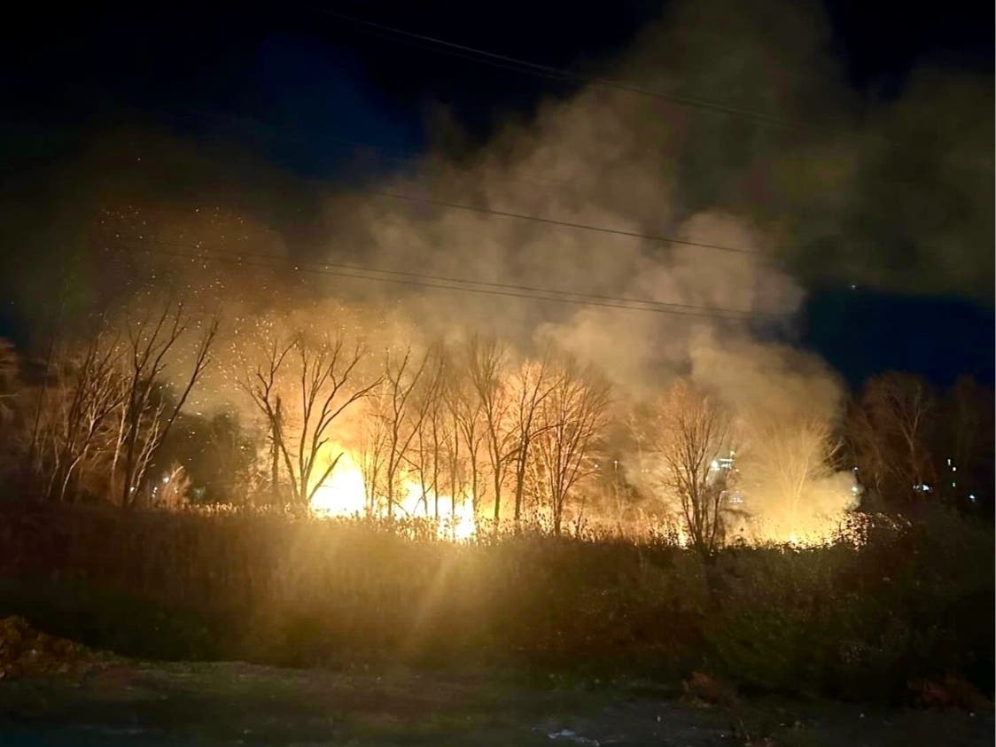 Not Out Of Woods Yet: Firefighters Battle Fire Caused By Fireworks: FD ...