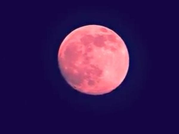 Rare Strawberry Moon On First Day Of Summer | New Canaan, CT Patch