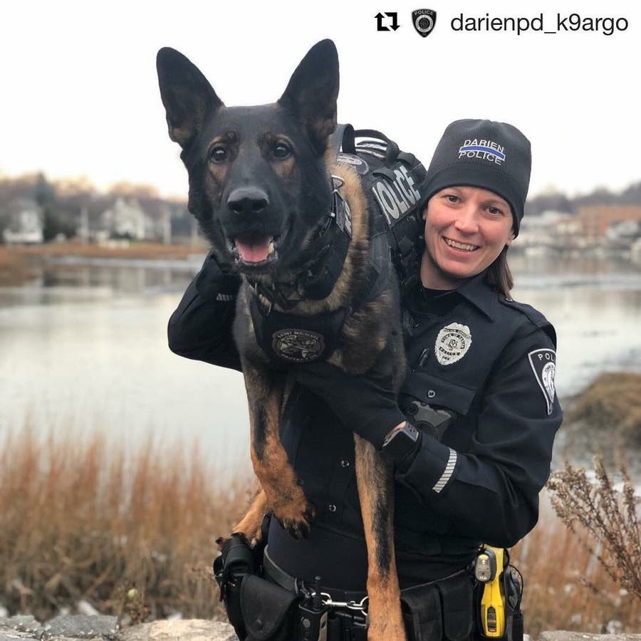 Darien Police Officer And K-9 Partner Share A Unique Bond | Darien, CT ...
