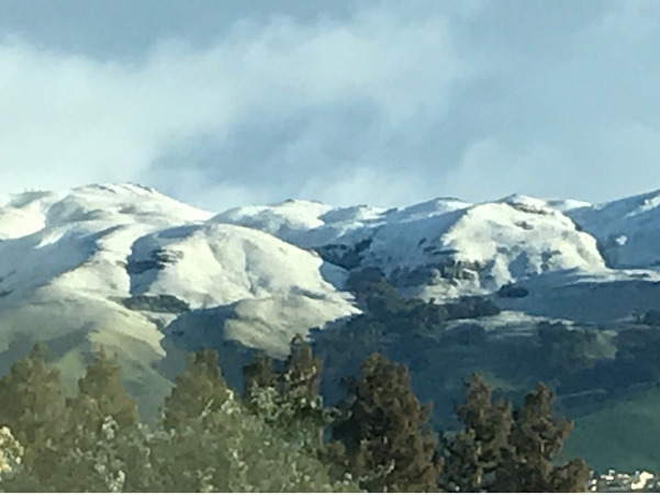 Covered In Snow: Photo Of The Day | Fremont, CA Patch