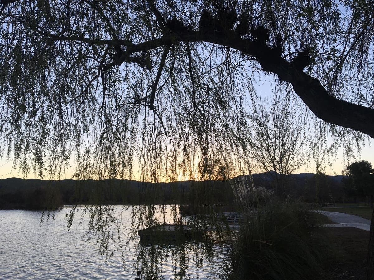 Peaceful Lake Elizabeth: Photos Of The Day | Fremont, CA Patch