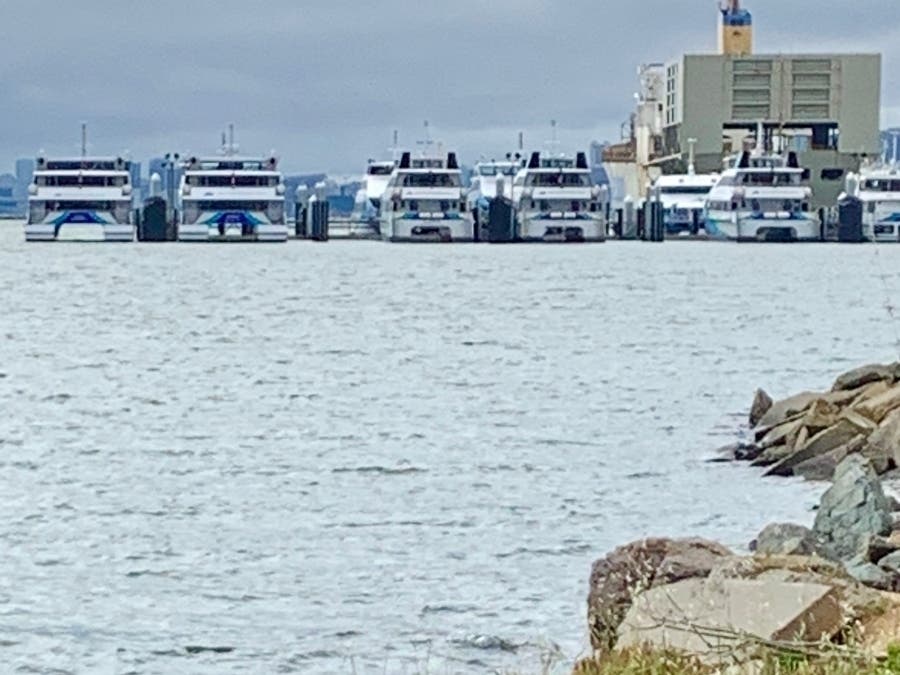 Ferries Wait Out Shelter-In-Place Orders: Photo Of The Day | Alameda ...