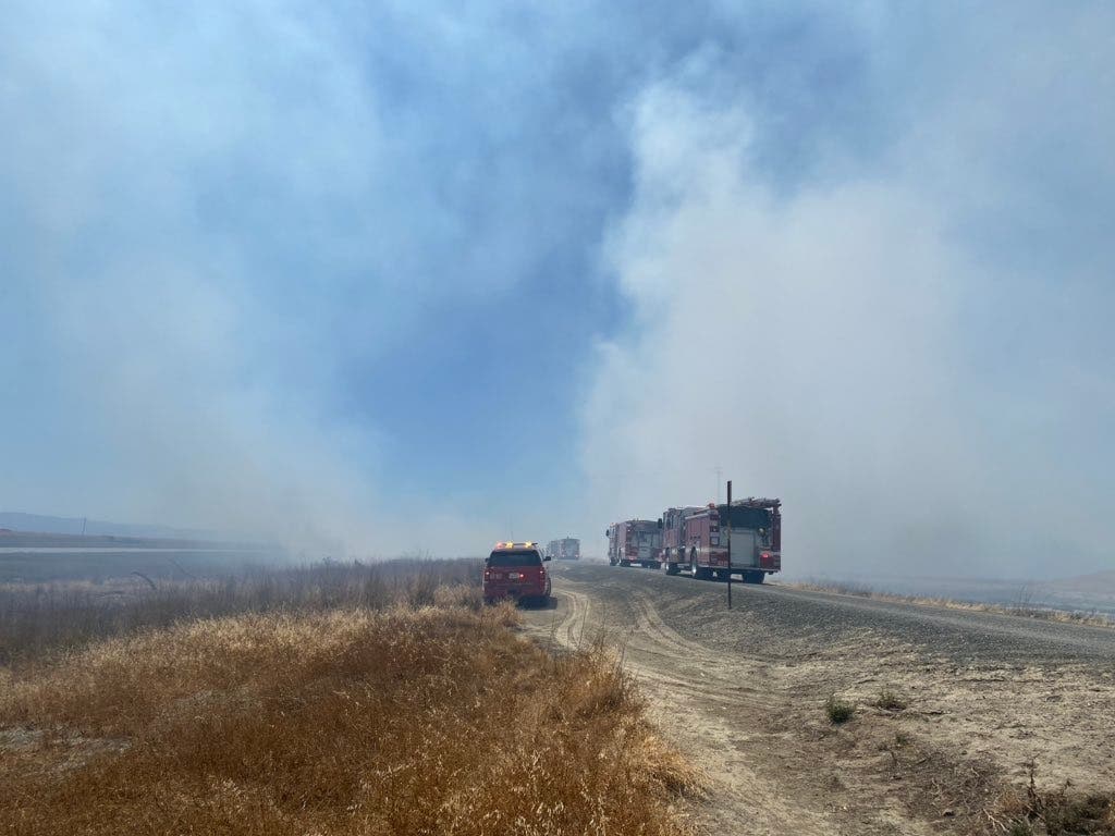 Fremont Fire In Salt Flats: 40 Acres | Fremont, CA Patch