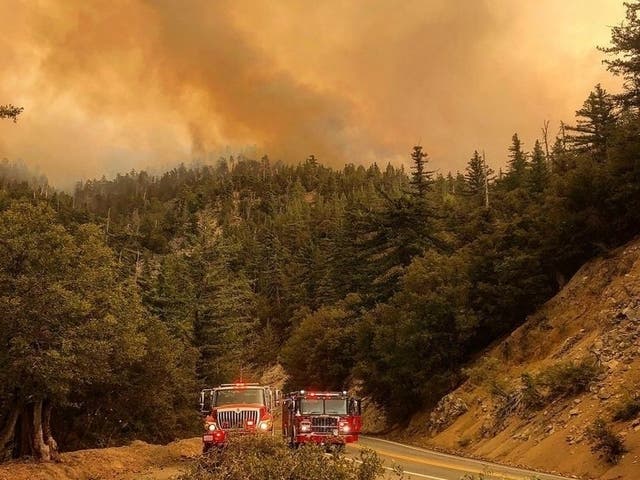 Newark Firefighters Battle Wildfire In San Bernardino County | Newark ...