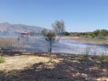 Fremont Grass Fire Burns In Central Park | Fremont, CA Patch