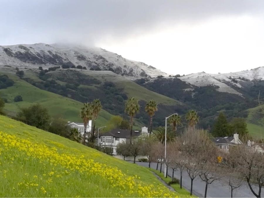 Fremont Through The Seasons: Photos of the Day | Fremont, CA Patch