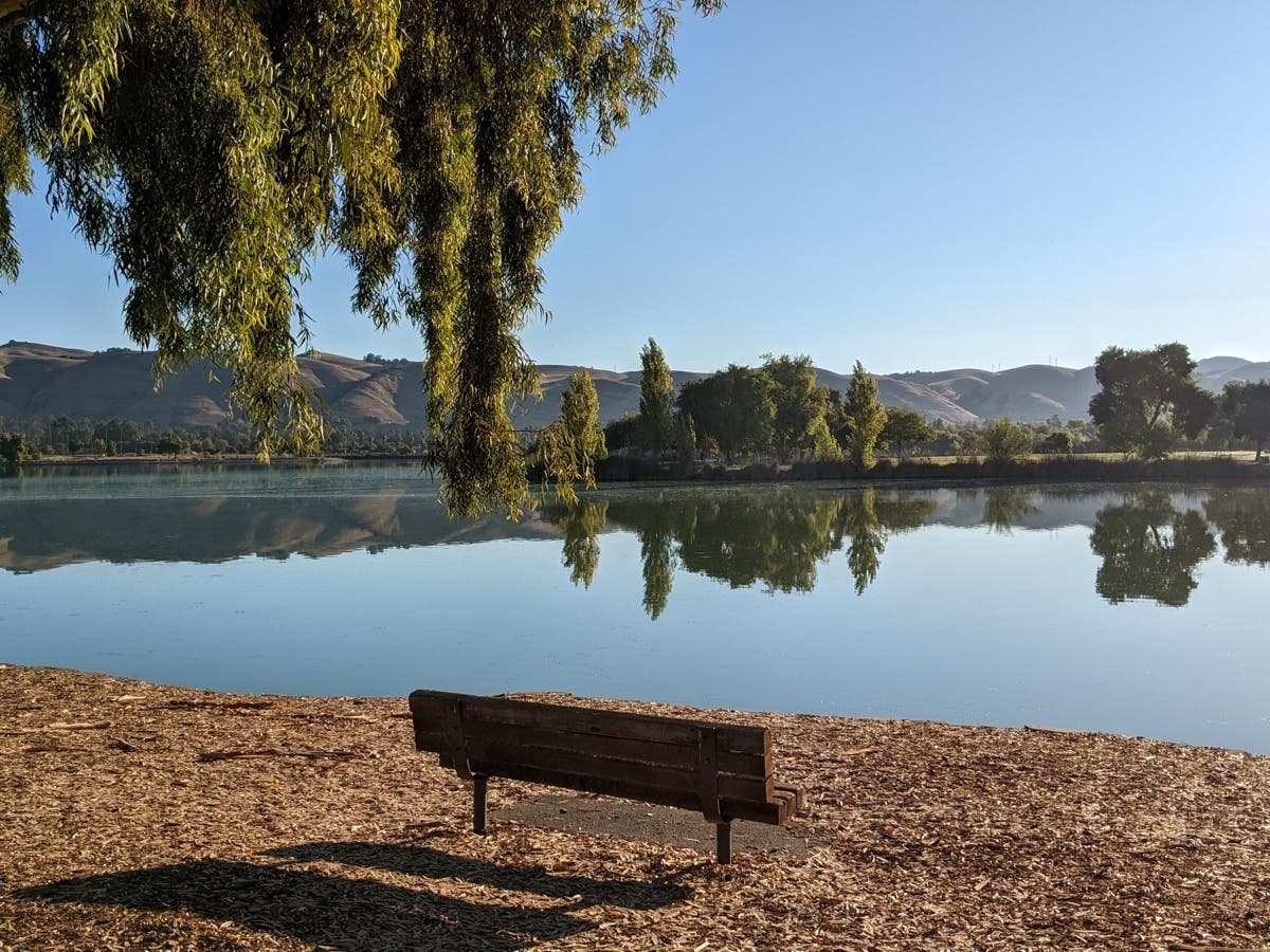 Inviting Bench At Lake Elizabeth: Photo Of The Day | Fremont, CA Patch