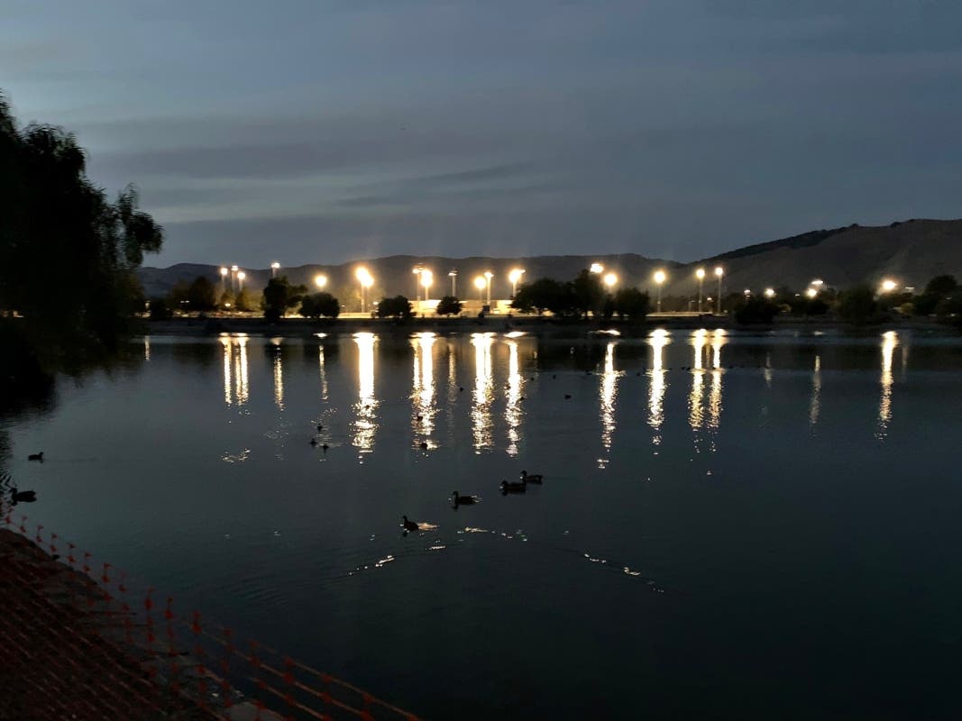 Lights Reflected In Lake Elizabeth: Photo Of The Day | Fremont, CA Patch