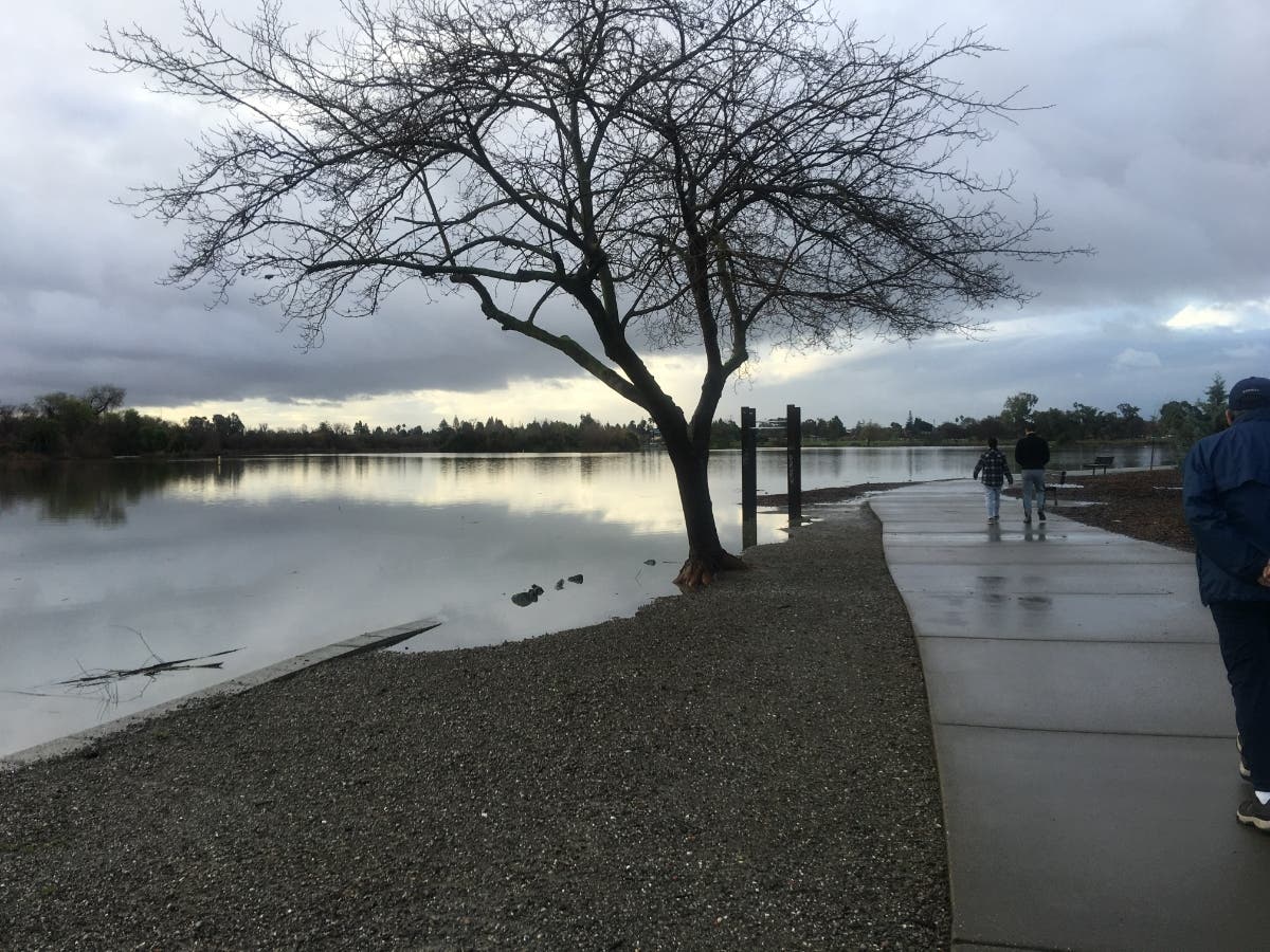 Lake Elizabeth Overflows: Fremont Photos Of The Day | Fremont, CA Patch