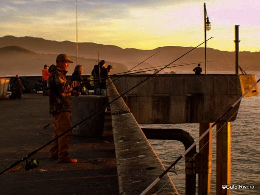 Pacifica Pier Serenity: Photos Of The Week | Pacifica, CA Patch
