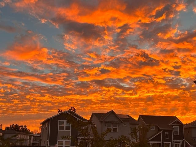 Fiery Morning Sky Lights Up Sacramento Photo Of The Day Sacramento