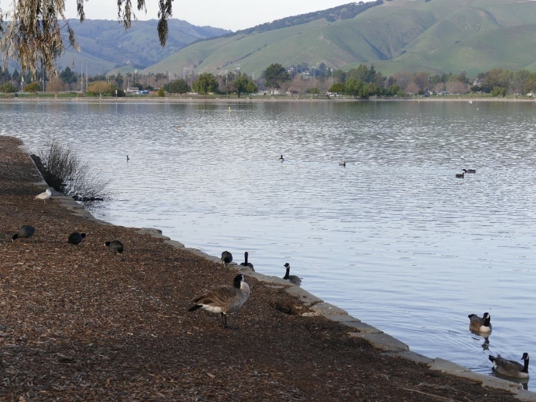 Scenes From Lake Elizabeth and Quarry Lakes: Photos Of The Day ...