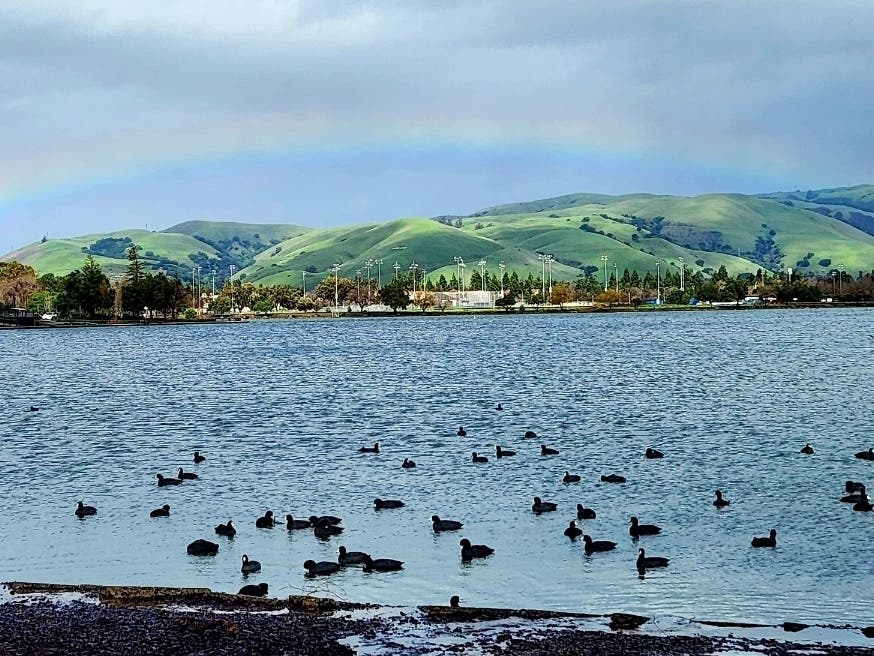Lake Elizabeth Wears A Full Rainbow: Photos Of The Day | Fremont, CA Patch