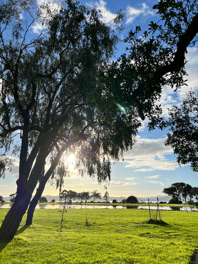 Sunshine Illuminates Miller/Knox Regional Shoreline: Photos | El ...