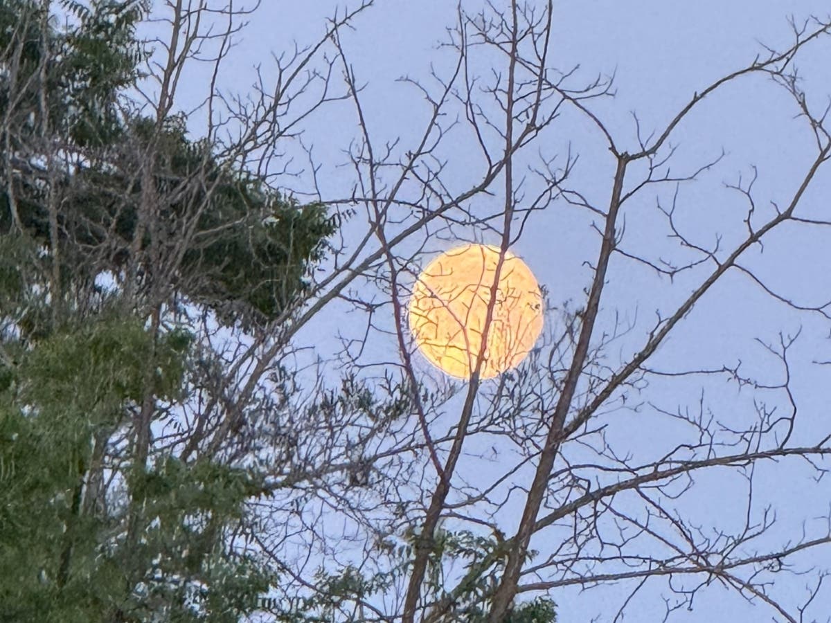 Full Moon Shines Over Fremont: Photo | Fremont, CA Patch