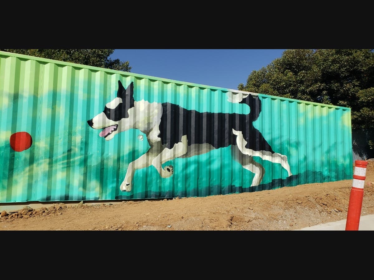 Tipperary is Your Rancho Coastal Humane Society Pet This Week ...