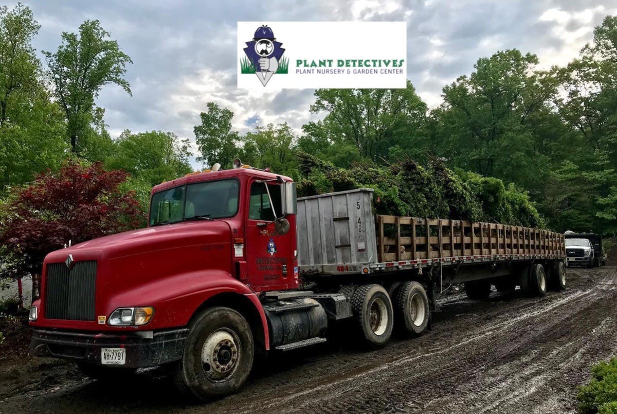 Help Wanted: Class A CDL Driver - Mendham, NJ Patch