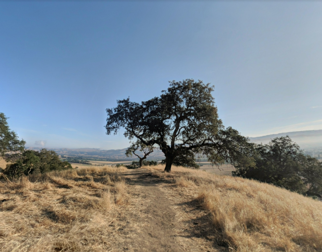 Gilroy Family Sells Ranch For 18M In Deal That Halts Sprawl Gilroy Gilroy Family Sells Ranch For 18M In Deal That Halts Sprawl Gilroy