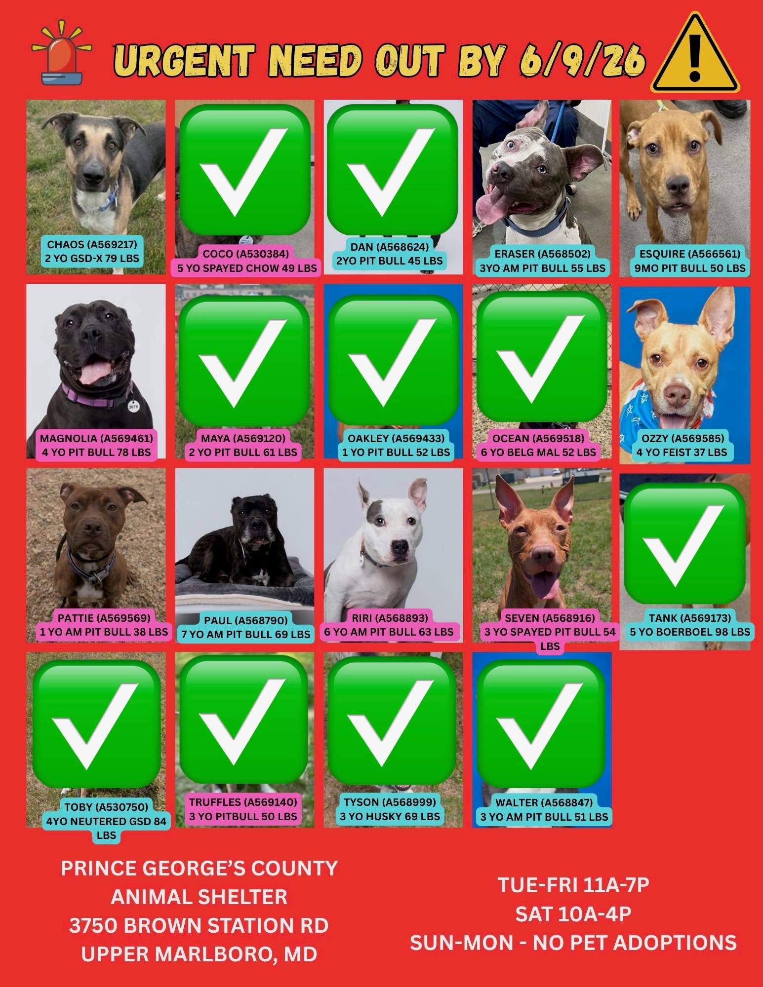 Jun 9 | Save a Dog Today: Adopt and Foster Urgent Dogs (Happening Now ...