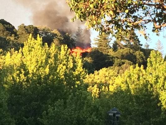 Fire Causes $600K in Damages to Marin Home | San Rafael, CA Patch