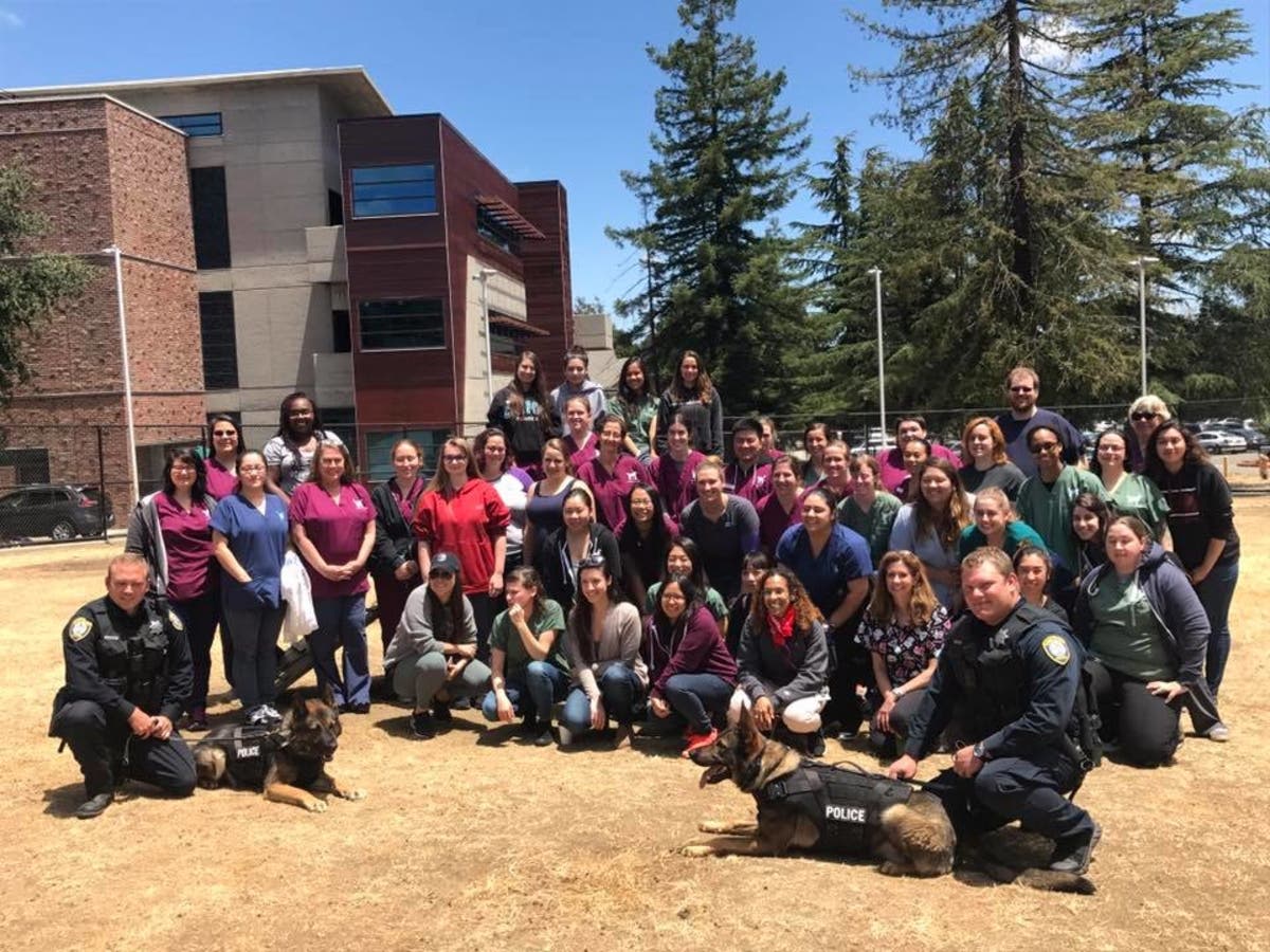 Santa Clara Police Dogs Get Life-Saving Donation | Cupertino, CA Patch
