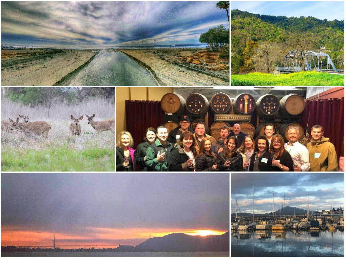 Beautiful Beaches And Bridges; Curious Deer: This Is CA In Photos ...