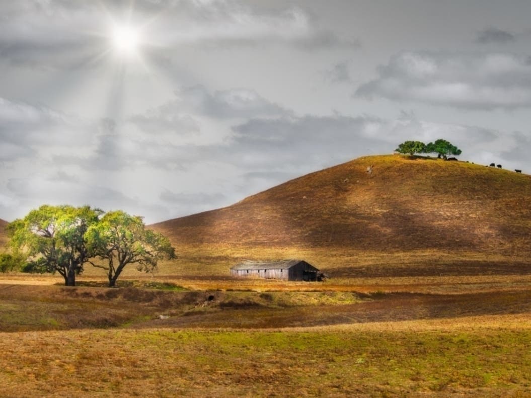 3 Amazing Images Taken In, Near Petaluma: Photos Of The Week | Petaluma ...