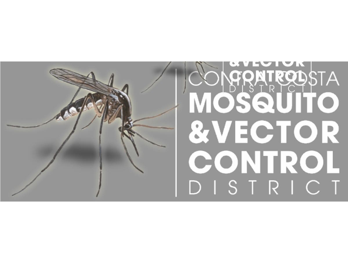 Mosquito Spraying To Take Place In Concord, Brentwood, Discovery Bay ...