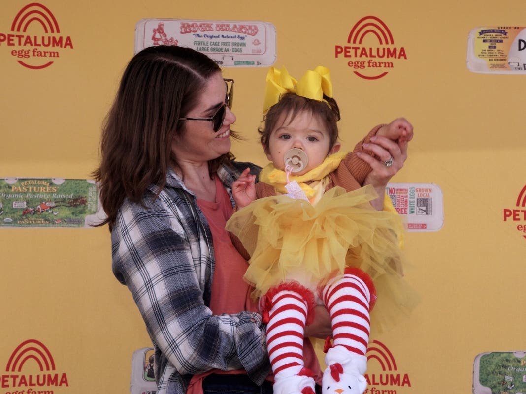 24 Adorable Photos From The Cutest Little Chick Contest | Petaluma, CA ...
