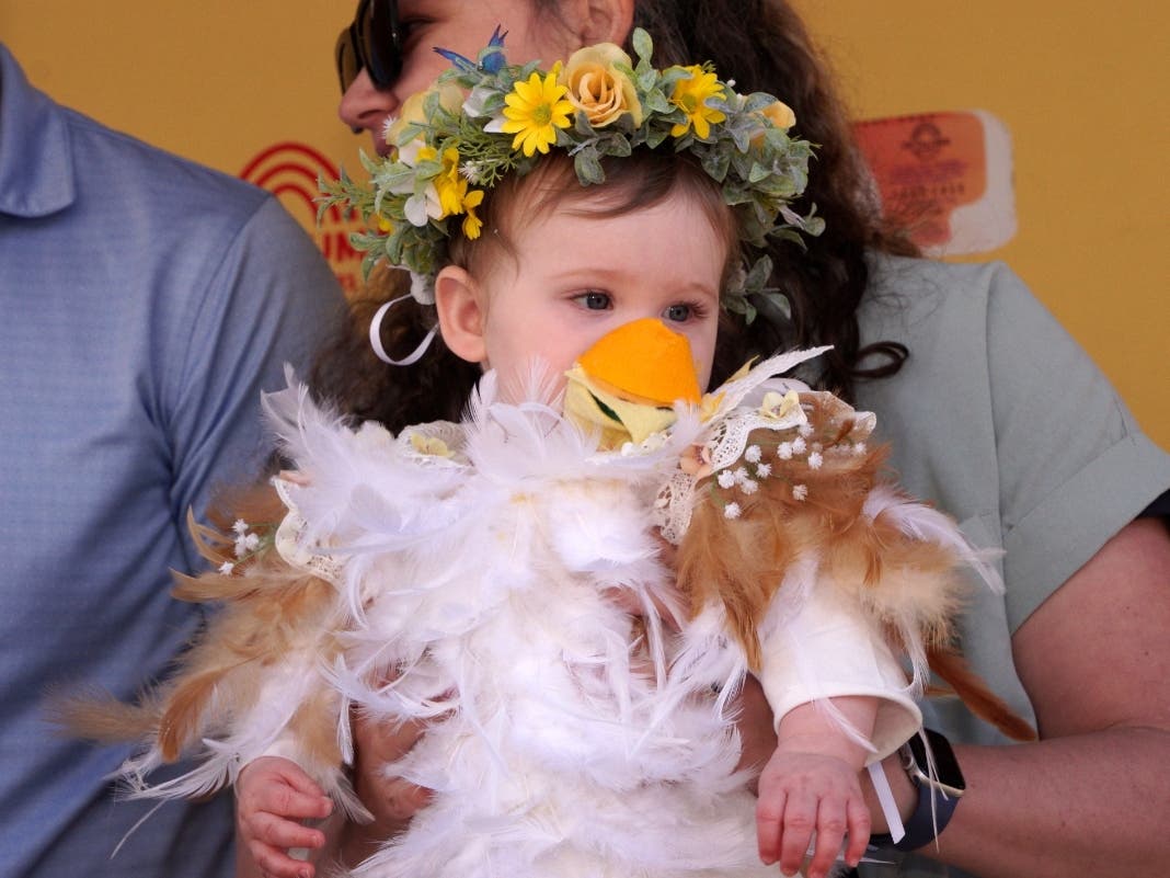 24 Adorable Photos From The Cutest Little Chick Contest | Petaluma, CA ...