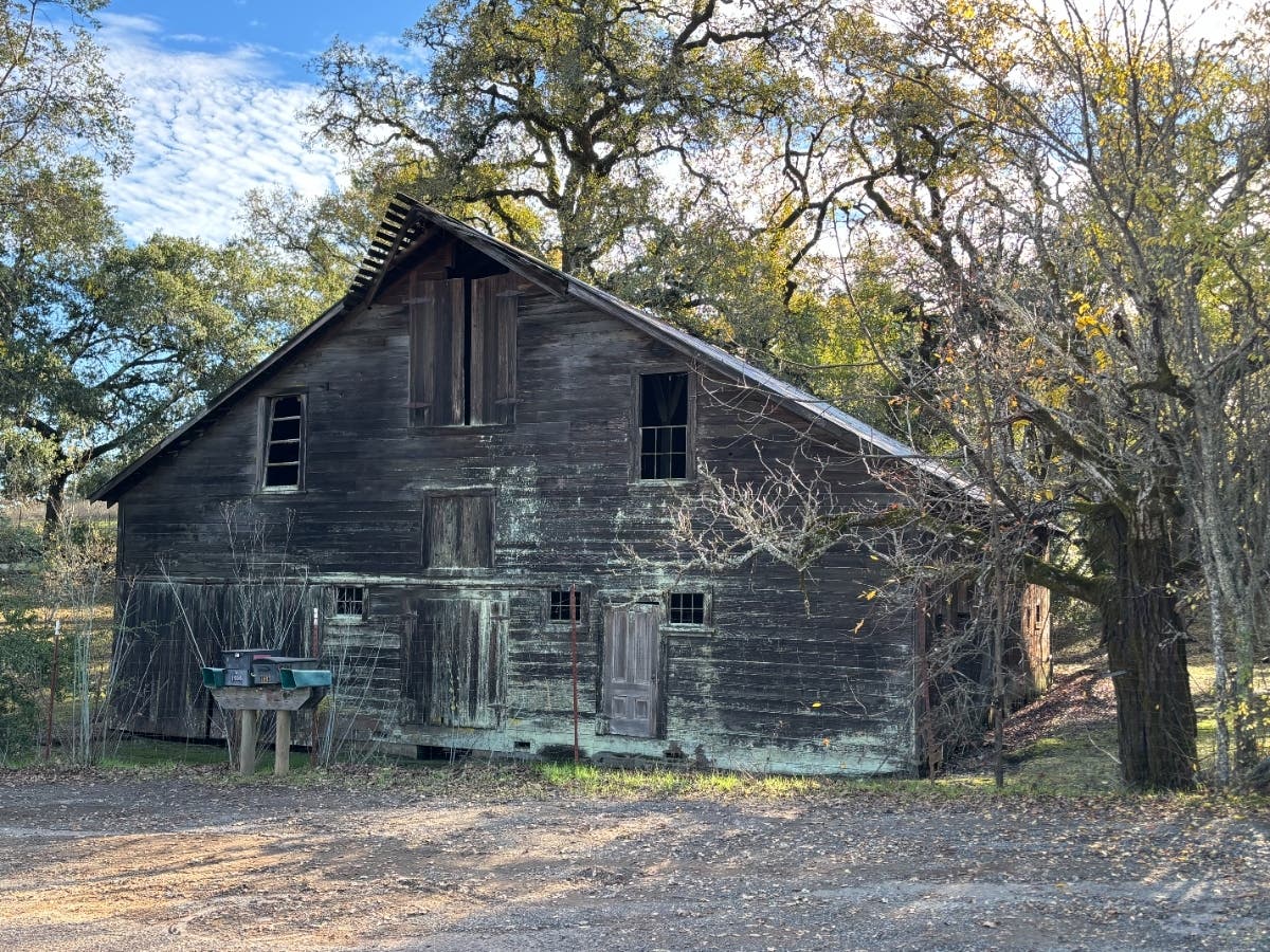Out With The Old, In With The New: Photo Of The Day | Healdsburg, CA Patch