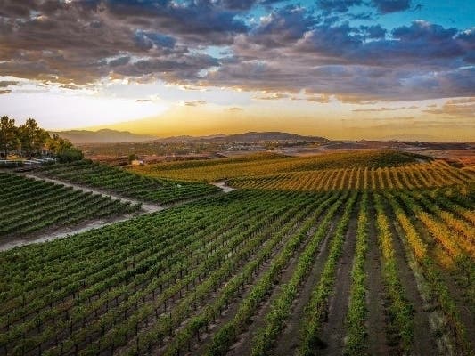 Temecula Valley Wine Country Nominated For '10 Best' In USA Today ...