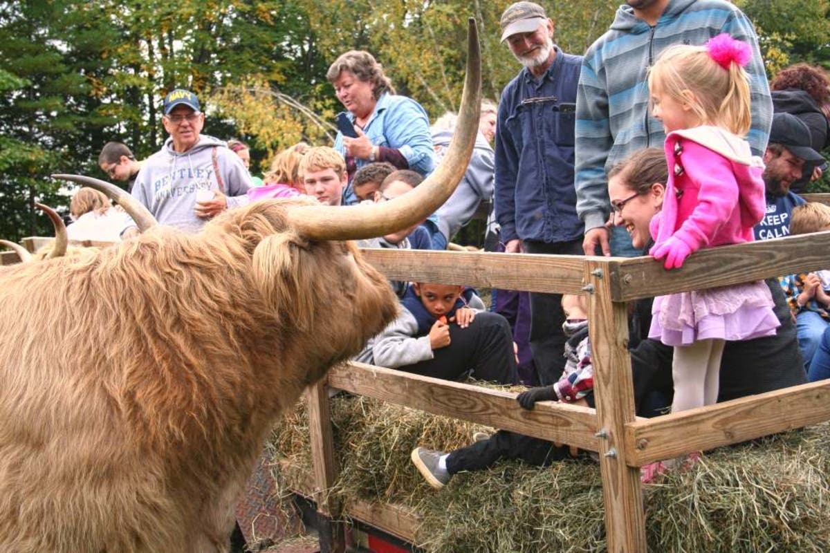 Miles Smith Farm: A Living Link To Our Farming Heritage | Concord, NH Patch