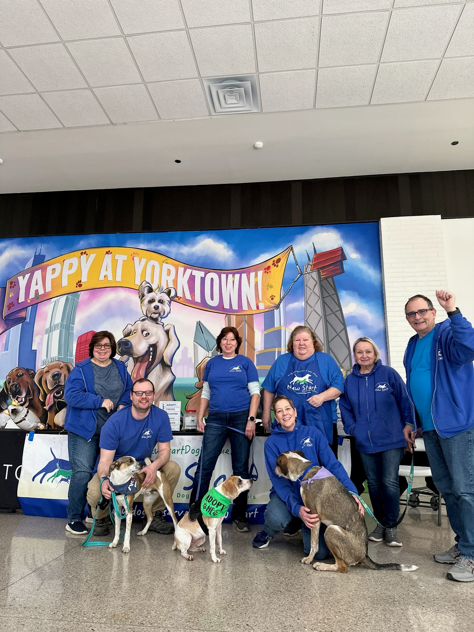 Jul 19 | Chicagoland Dog Adoption Event to be held at Yorktown Center ...