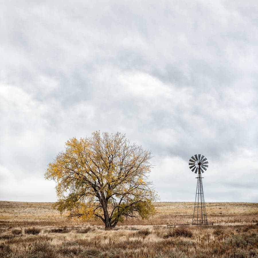 Winners Announced for Phillips Mill Photographic Exhibition ...