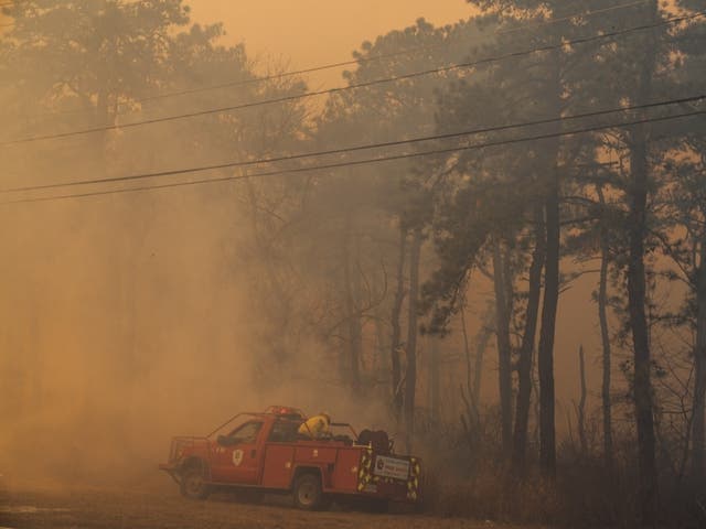Ocean County Forest Fire 'Intentionally Set,' Prosecutor Says | Brick ...