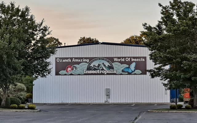 Good Bugs Get A Starring Role At NJ Insect Museum | Toms River, NJ Patch