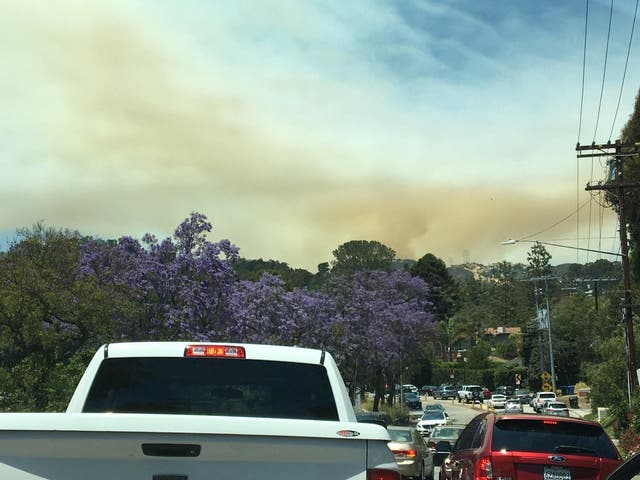 Mandeville Fire: Approximately 30 Acres Now Burning | Brentwood, CA Patch