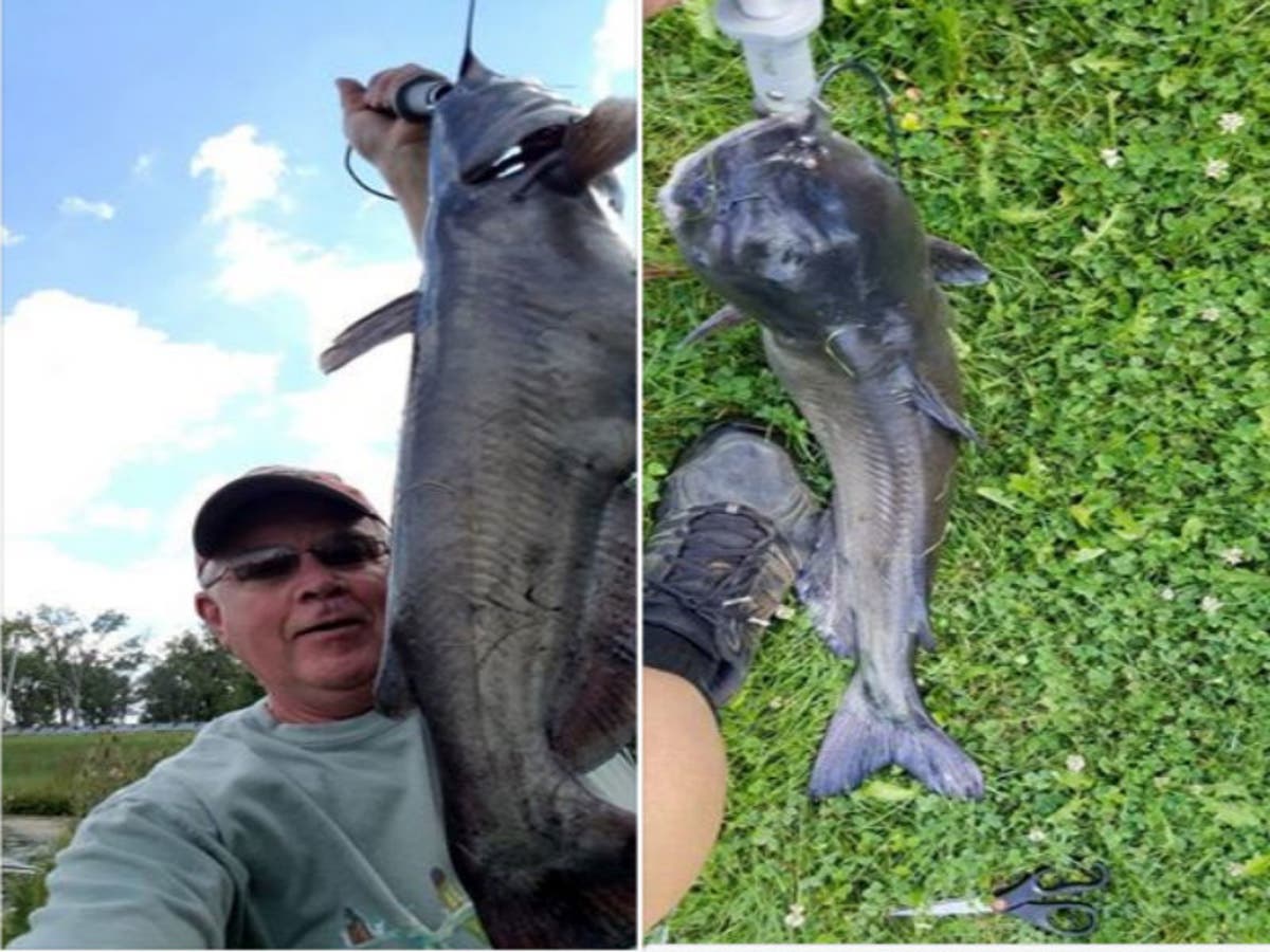 Big Catfish Caught In Orland Park Retention Pond | Orland Park, IL Patch