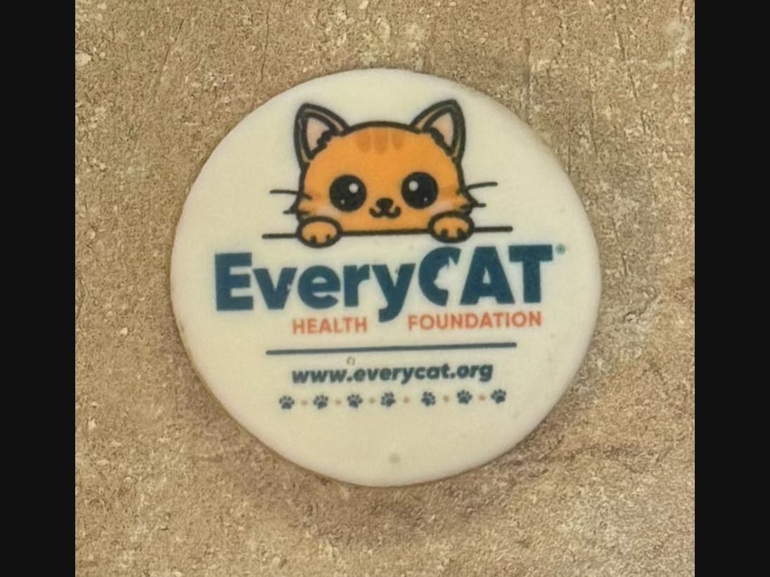 Get The Scoop On Cat Health Ice Cream Social Set | Lincoln Square, IL Patch