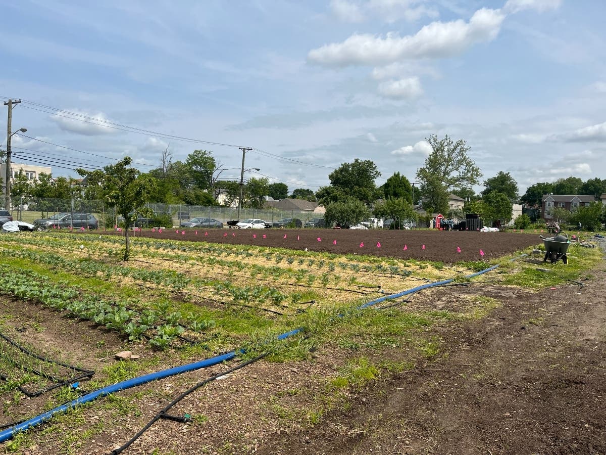 Urban Farm In Newark Gets Boost From Volunteers (PHOTOS) | Newark, NJ Patch