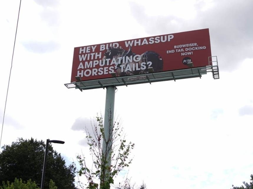 PETA Boycotts Budweiser Over Horse Tails, Erects Billboard In Newark ...