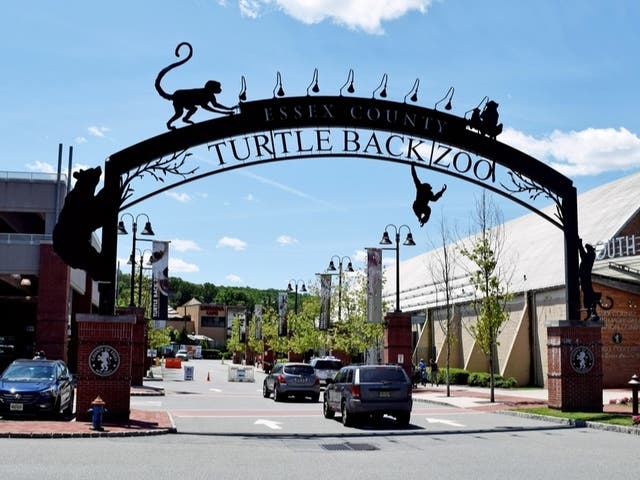 Attendance Hits Record High At Turtle Back Zoo: See How Many Visitors ...