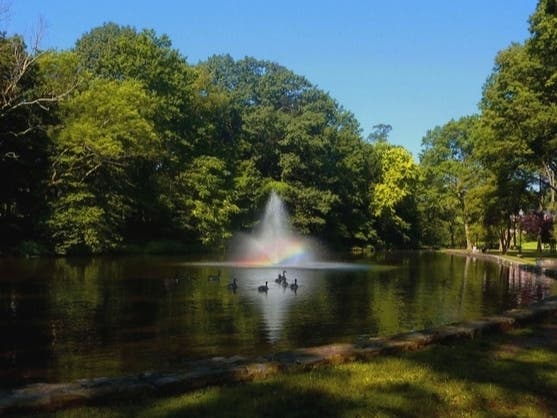 Revamped 'Mud Hole' Helps To Control Flooding In Nutley Neighborhood ...