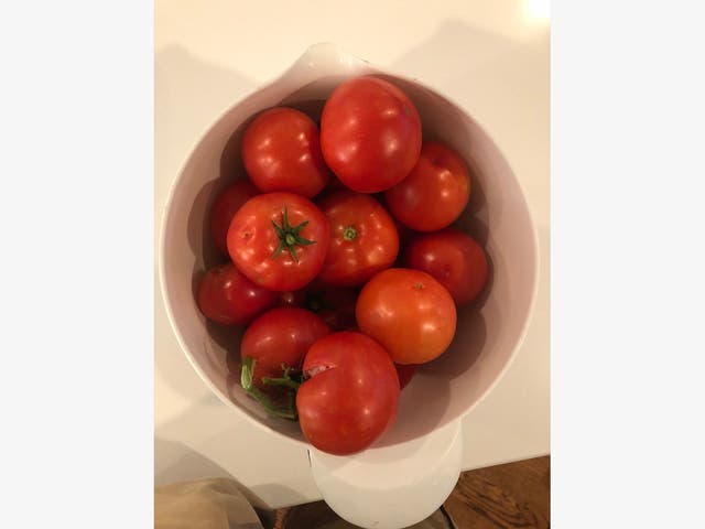 Harlem Park To Host NYC Tomato Festival | Harlem, NY Patch