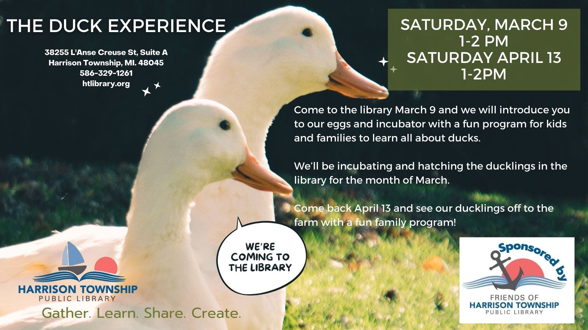 Mar 9 | The Duck Experience | Clinton Township, MI Patch