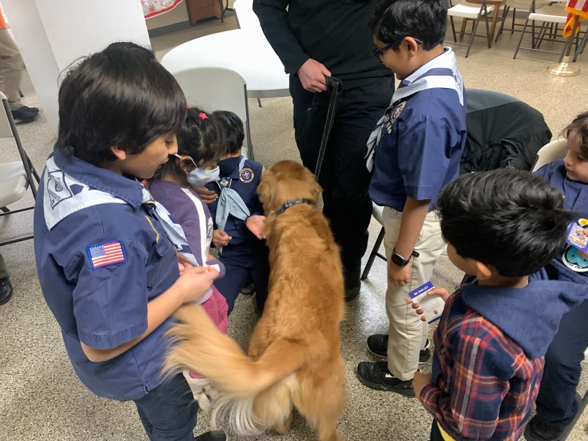 Secaucus Boy Scouts Meet Oakley, SPD's Therapy Dog | Secaucus, NJ Patch